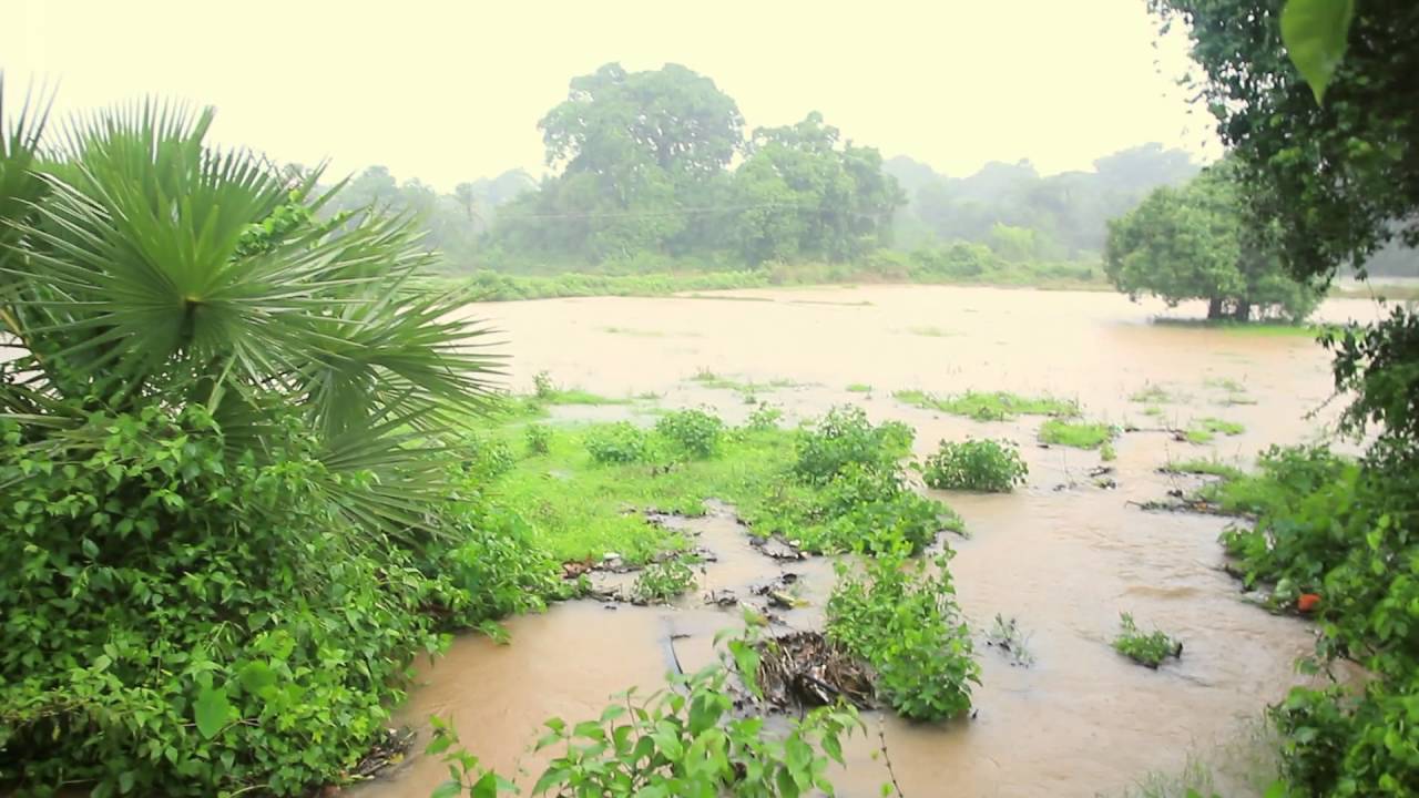 बरसात में सातपुड़ा पर्वतारोही क्षेत्र में होती है 'ढगफूटी'! - Mandal News